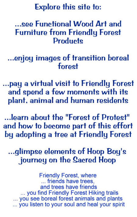 Friendly Forest, Home of Friendly Forest Products & the Forest of Protest