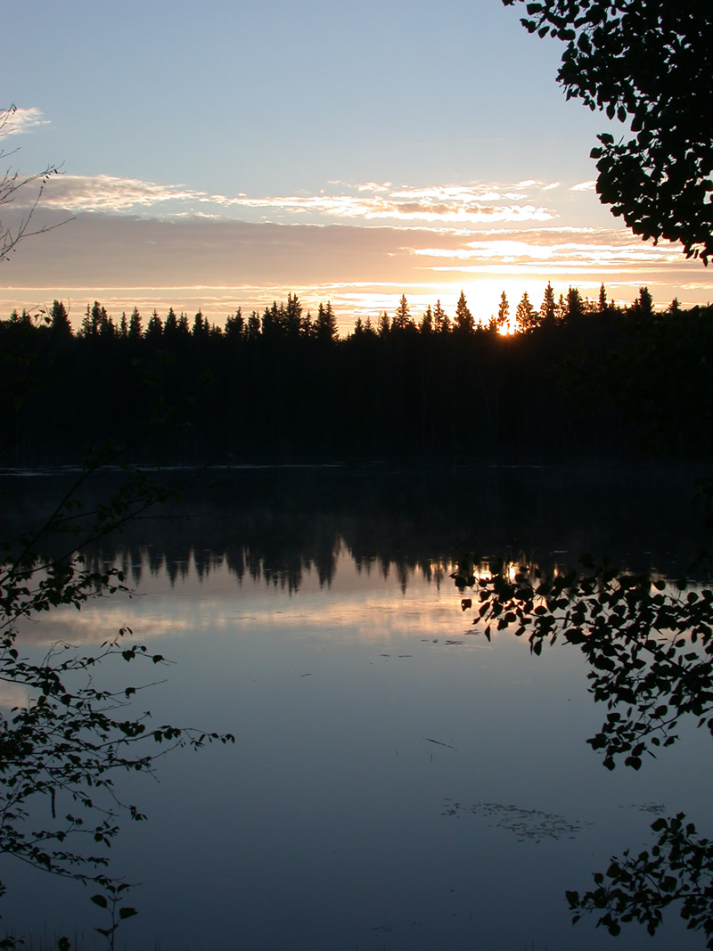 Friendly Forest Photos 5